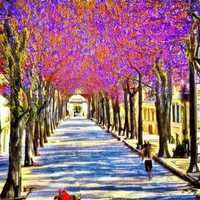 Your Ultimate Guide to Visiting Montpellier in 2026 | Montpellier ...